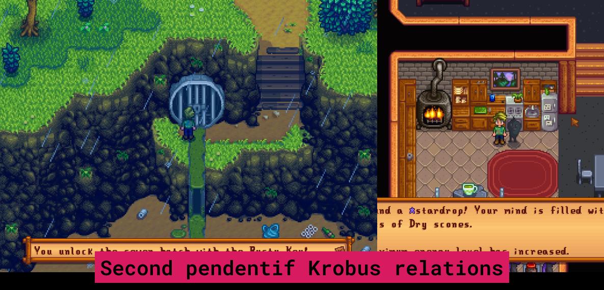 Comment faire de Krobus votre colocataire dans Stardew Valley ...