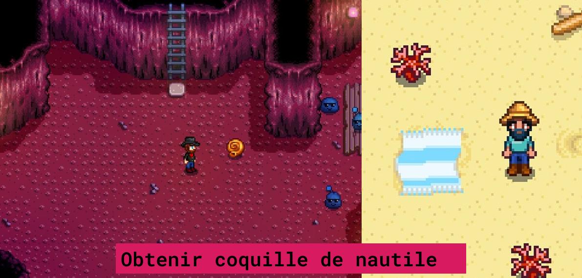 Comment trouver une coquille nautile en été pour vos esturgeons dans ...