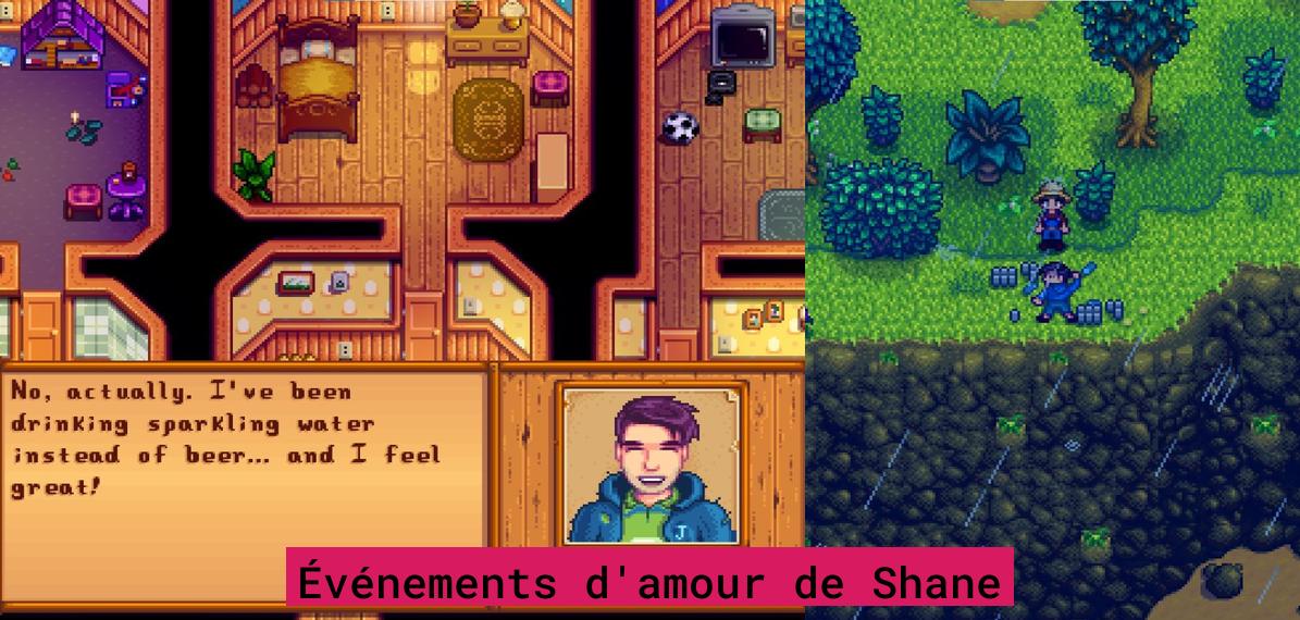 Guide complet des événements du cœur de Shane dans Stardew Valley ...