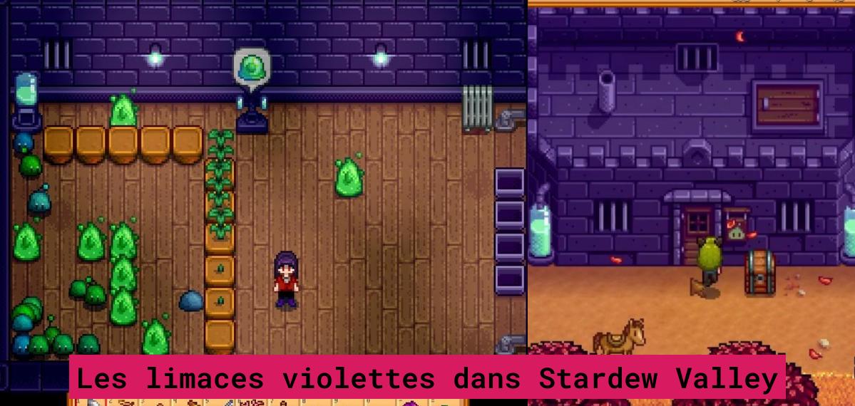 Quelle est l'utilité de la Slime Hutch sur votre ferme dans Stardew ...