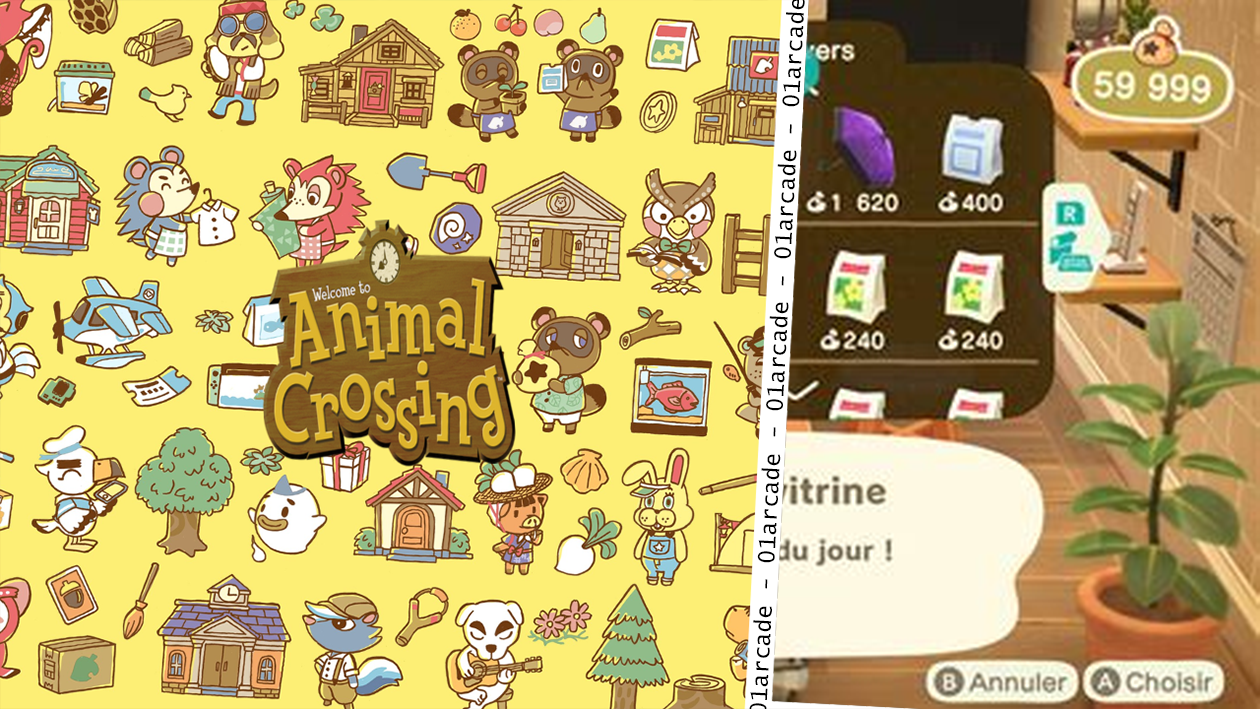 Comment plonger dans Animal Crossing : Guide des étapes et secrets à découvrir – 01Arcade - Jeux ...